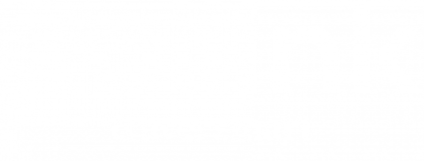 Rollink Website Redesign Case Study