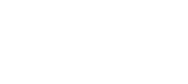 Chicago Logo Design Firm | Branding Services | Digital Silk