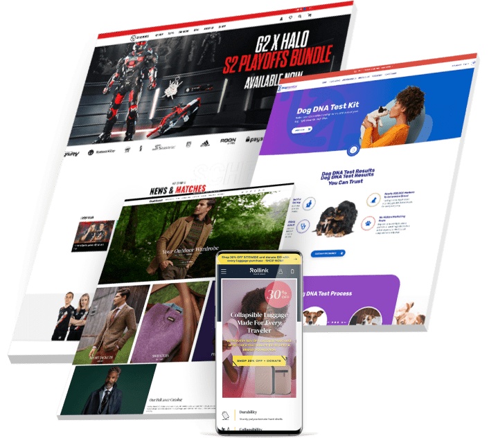 Custom Web Development Company | Digital Silk