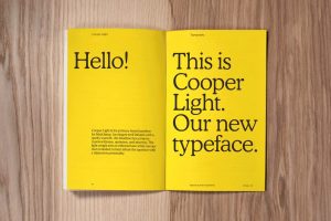 Brand Book Design: A Detailed Guide With Brand Book Examples