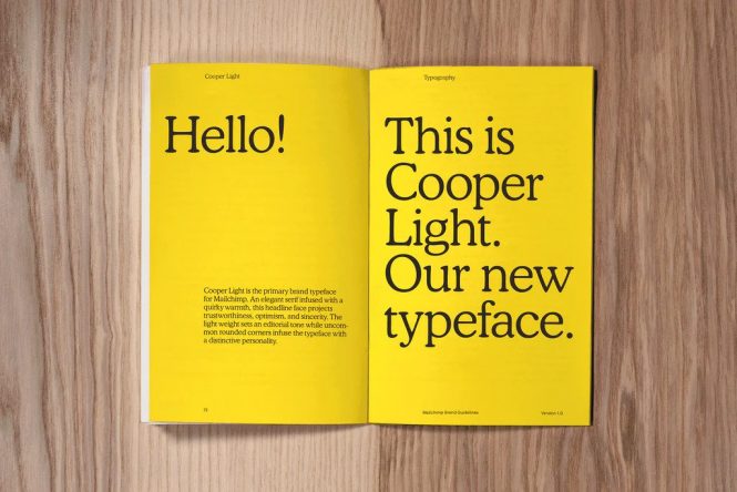 Brand Book Design: A Detailed Guide With Brand Book Examples