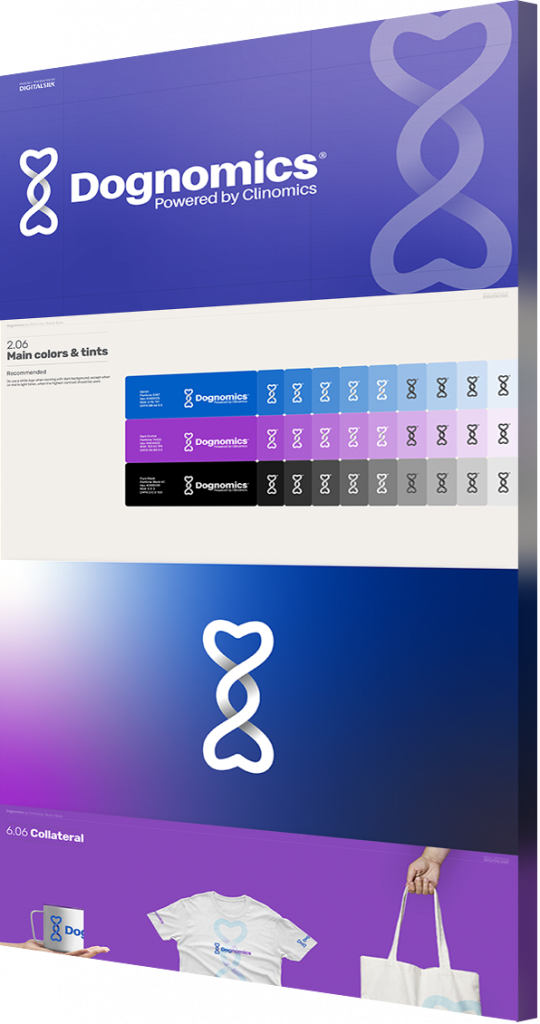 Graphic Design Agency In Chicago | Digital Silk