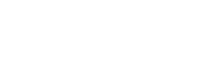 Orlando Web Design Company | Digital Silk