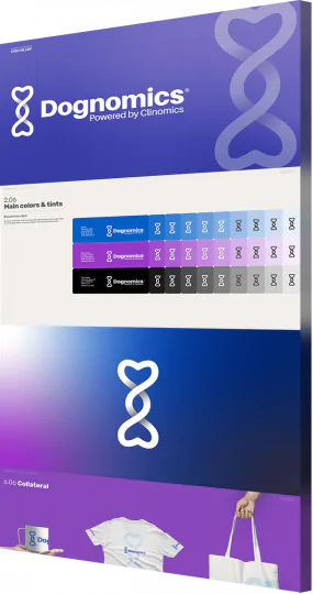 Graphic Design Agency | Branding Services | Digital Silk