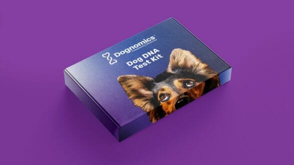 Expert Guide To Gradient Design [Examples + How To]
