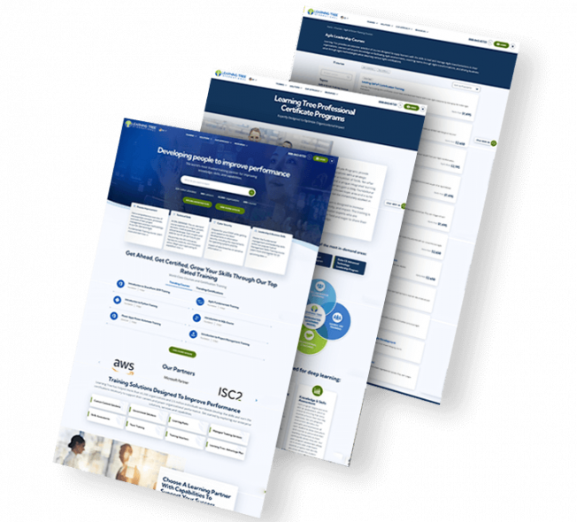 Learning Tree Affiliate Strategy Case Study