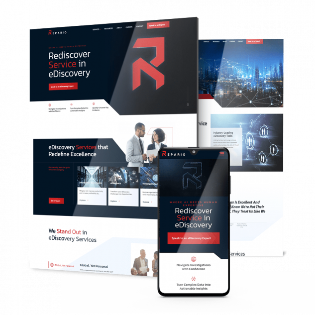 Repario Data Case Study