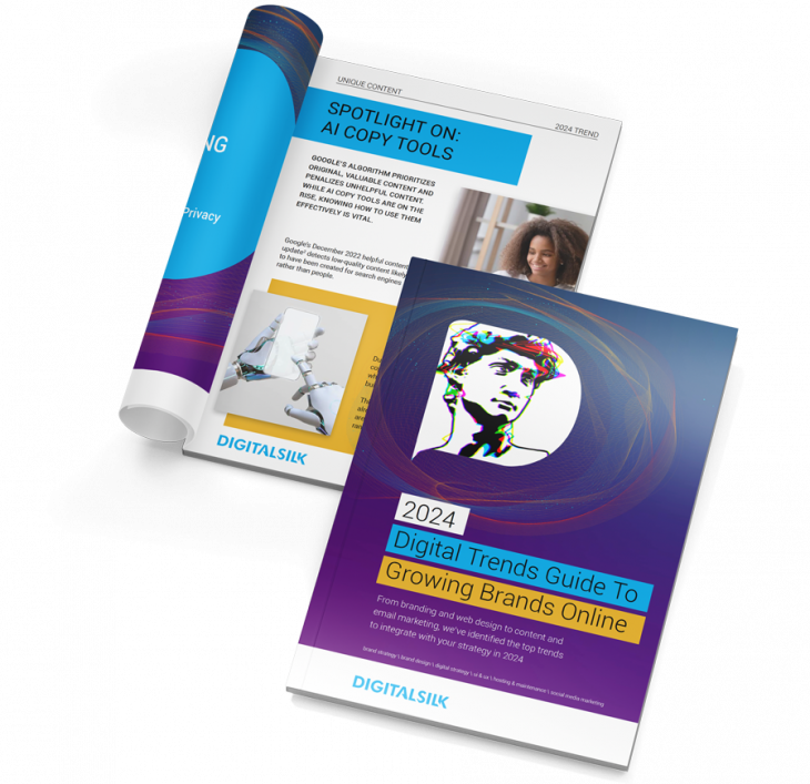 Digital Marketing Agency | Digital Silk