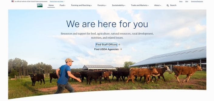 Building 508-Compliant Websites: Guide For Public Agencies